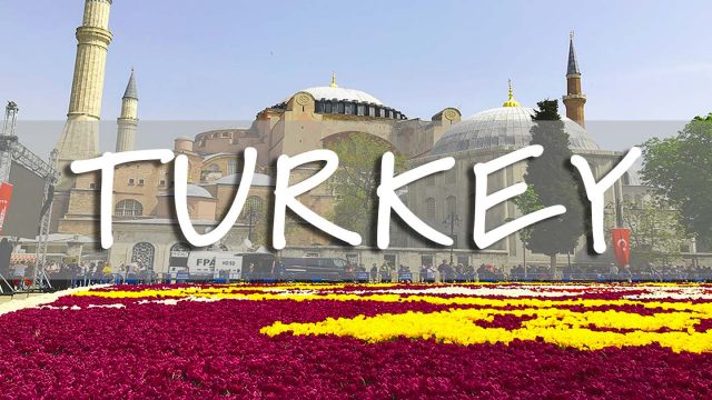 curiosity travel｜好奇心旅